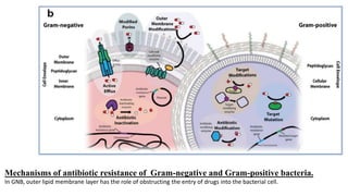 GNB resistance and choice of antibiotics.pptx