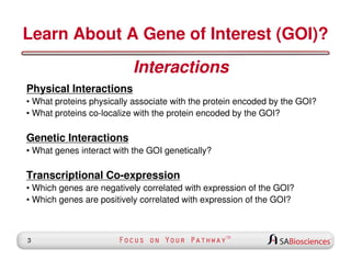 Gnc help | PDF | Technology Industry | Industries