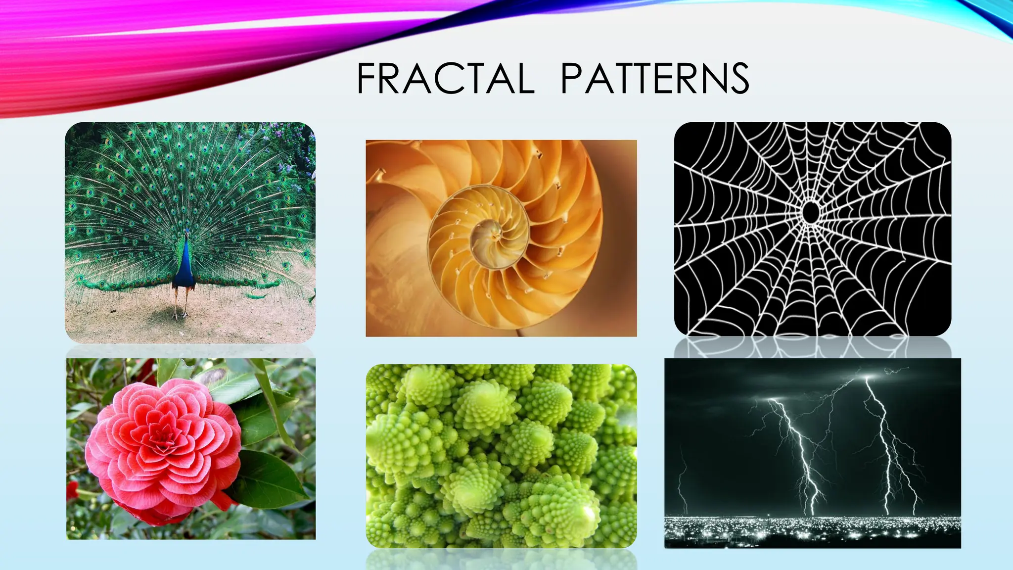 Mathematics in the Modern World - Lesson 1.pdf