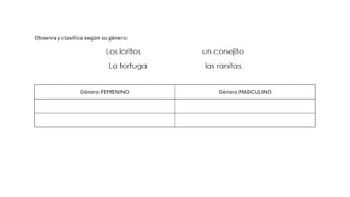GÉNERO Y NÚMERO DE LAS PALABRAS para.pptx