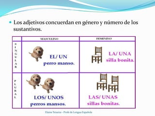 Género y número de los sustantivos | PPSX