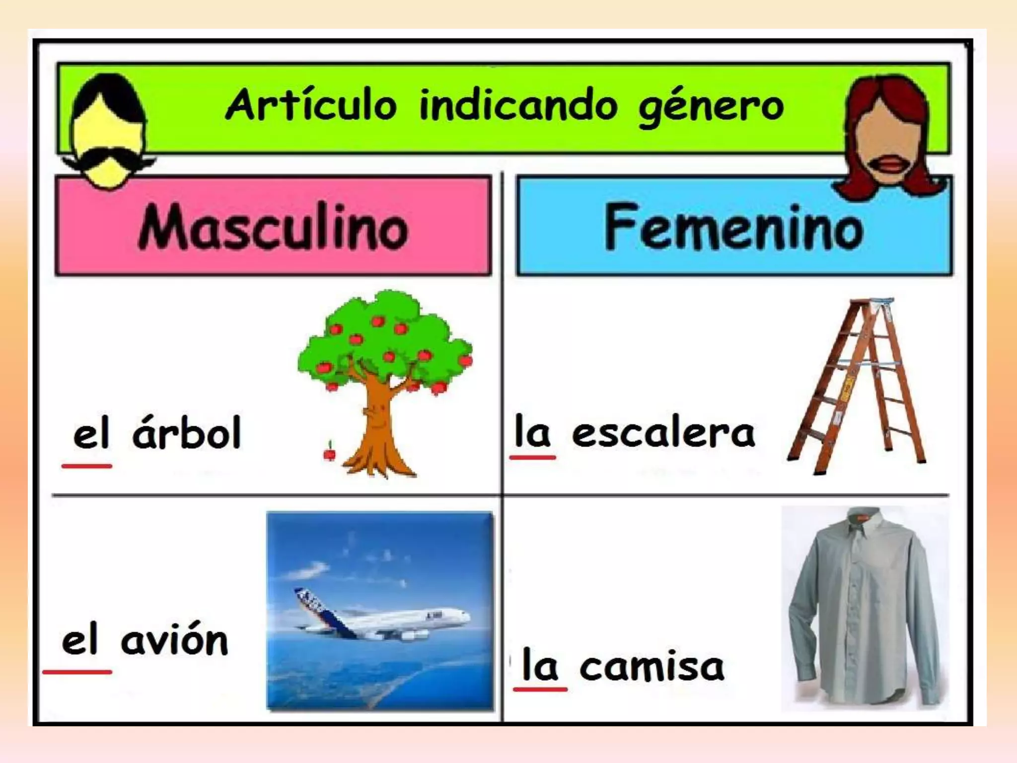 Género y número del sustantivo | PPTX