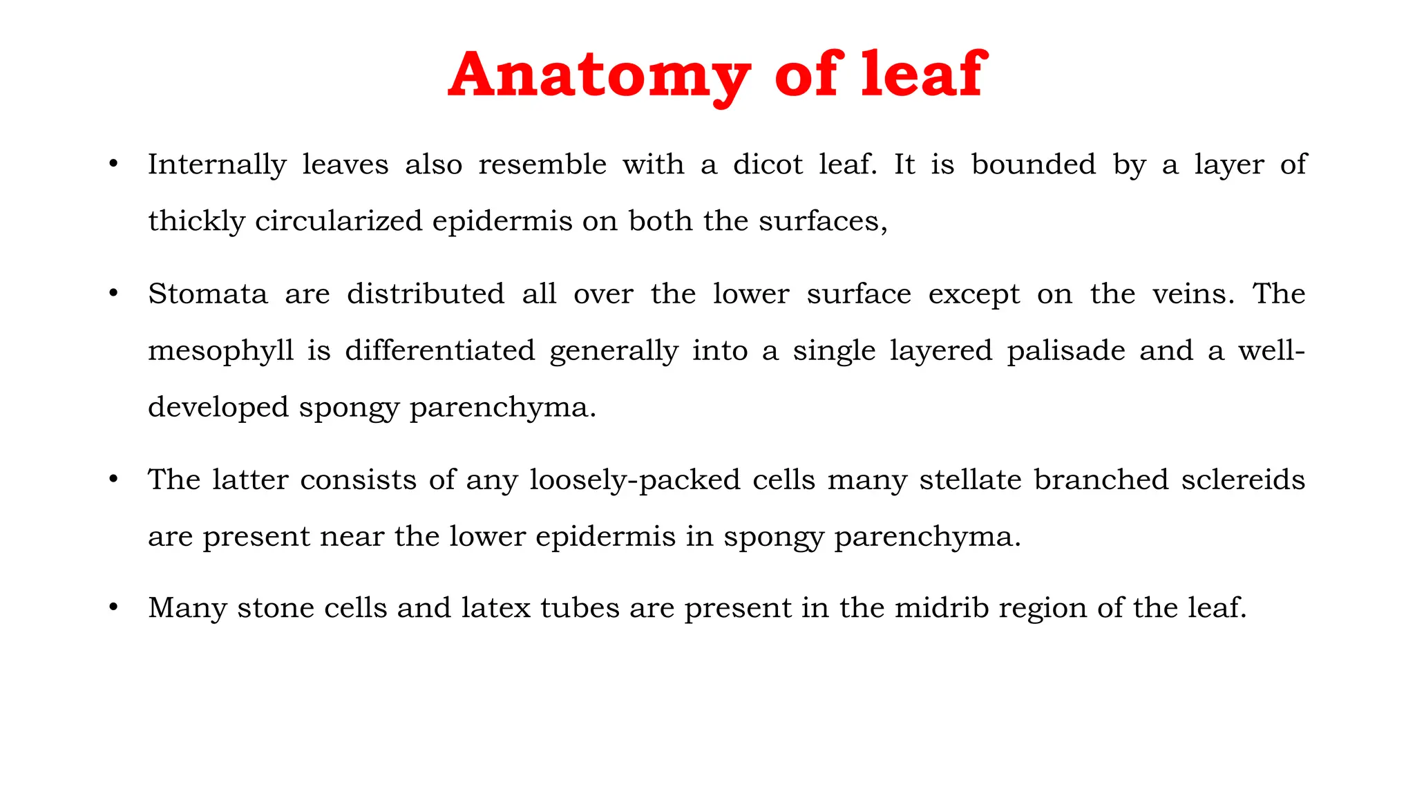 Anatomy, and reproduction of Gnetum.pptx