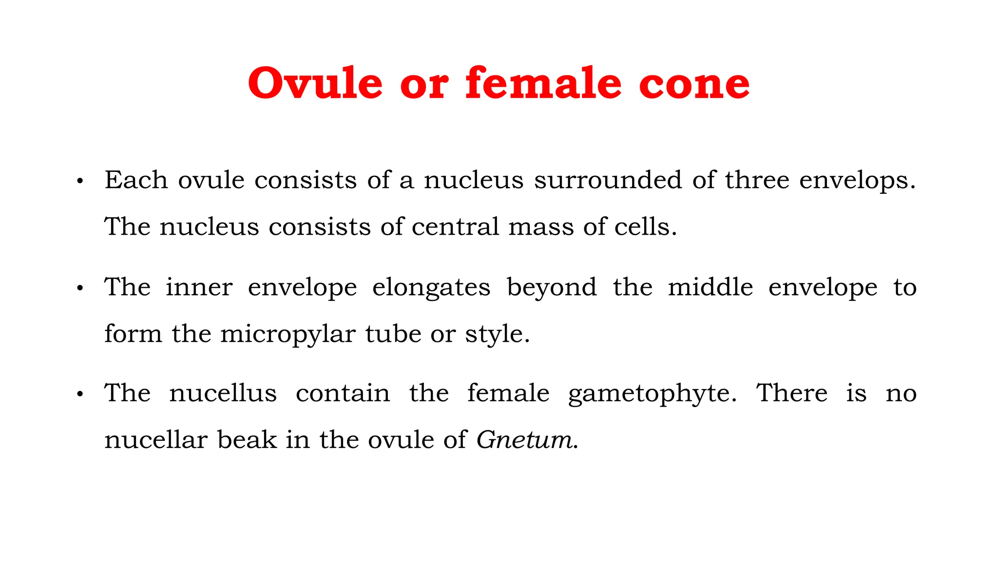 Anatomy, and reproduction of Gnetum.pptx