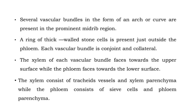 Anatomy, and reproduction of Gnetum.pptx