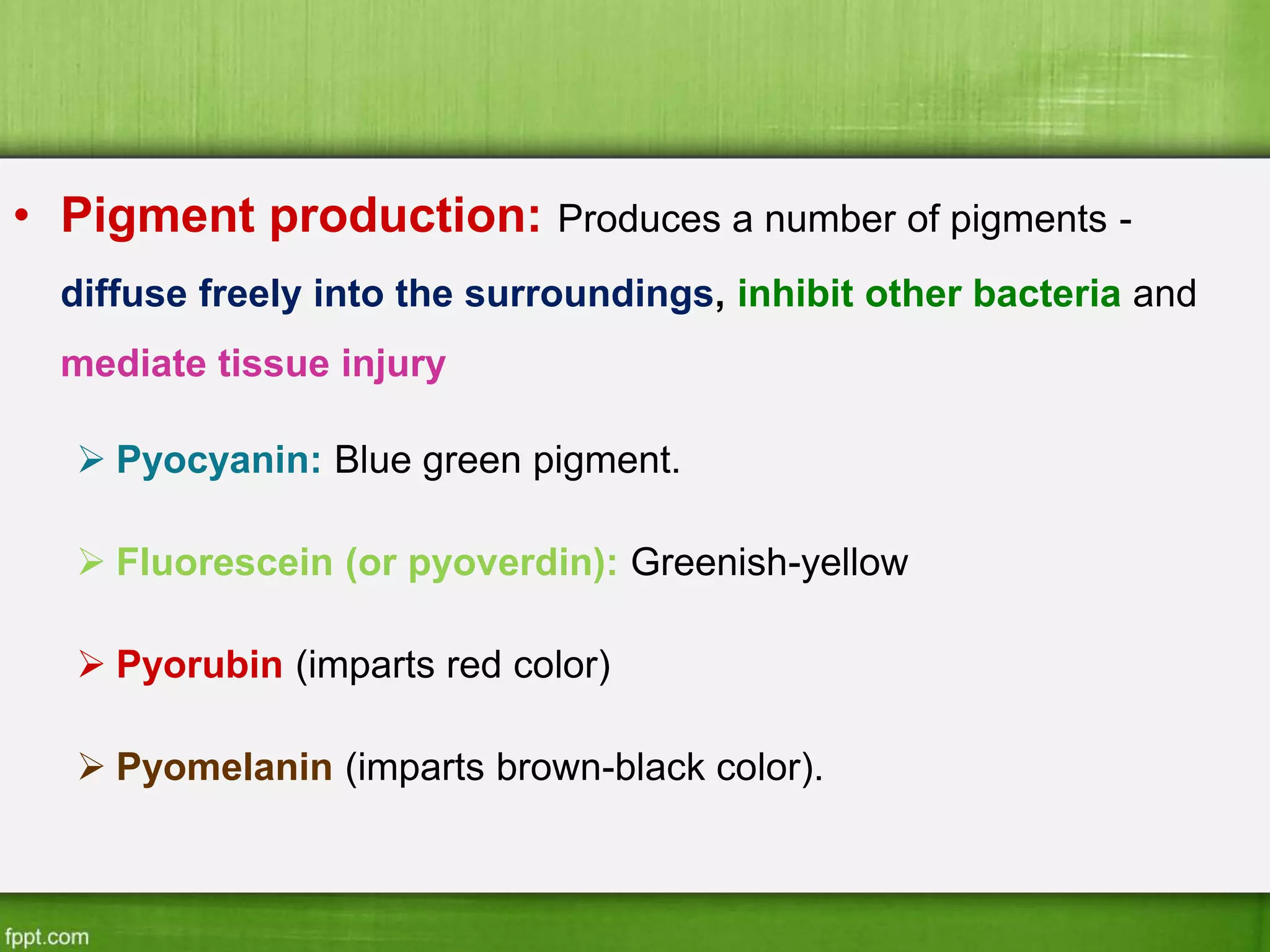 GNNF (Pseudomonas and Acinetobacter).ppt