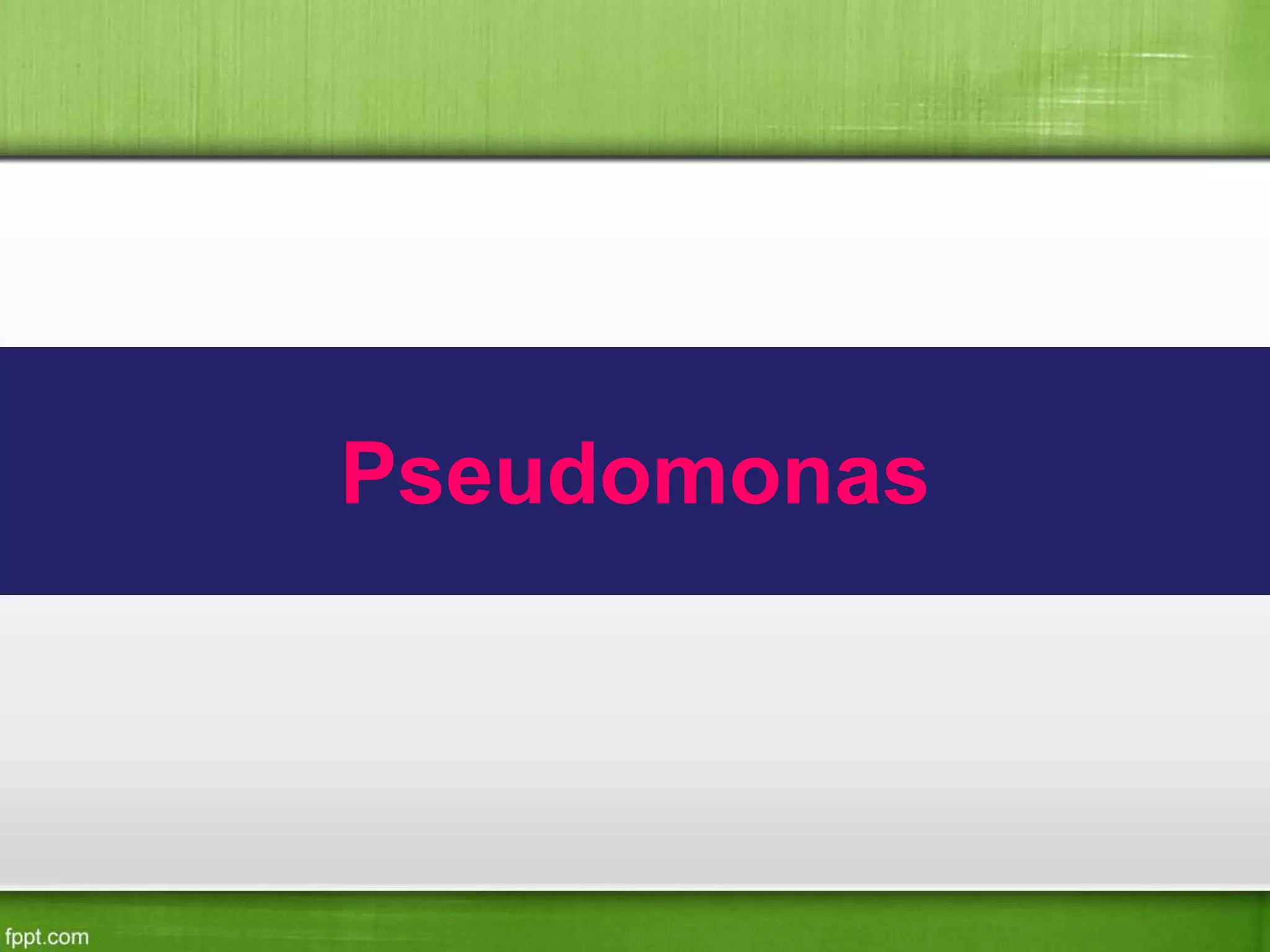GNNF (Pseudomonas and Acinetobacter).ppt