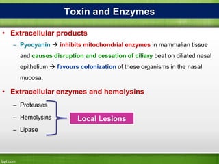 GNNF (Pseudomonas and Acinetobacter).ppt