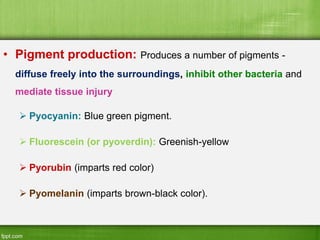 GNNF (Pseudomonas and Acinetobacter).ppt