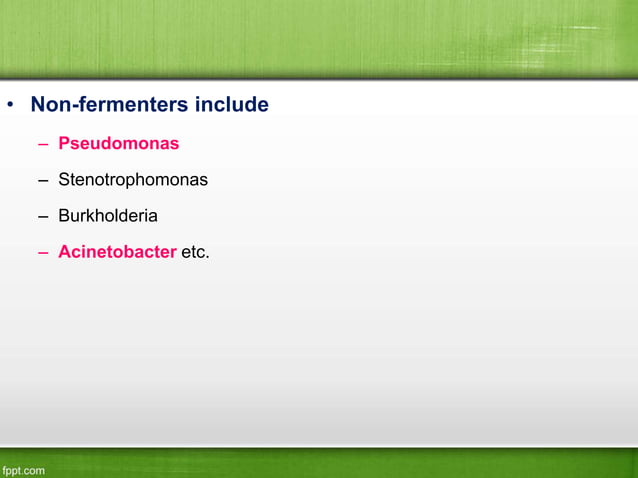 GNNF (Pseudomonas and Acinetobacter).ppt | Infectious Diseases | Diseases and Conditions