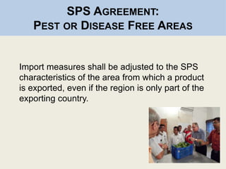 The summary WTO and SPS agreement | PPTX