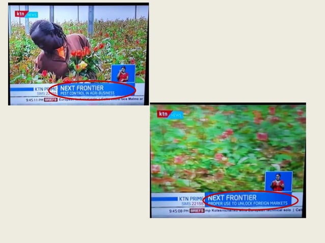 The summary WTO and SPS agreement | PPTX