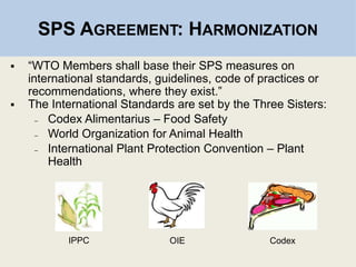 The summary WTO and SPS agreement | PPTX