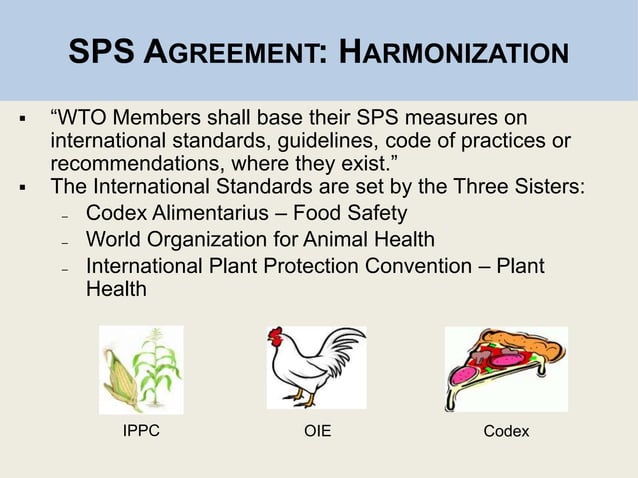 The summary WTO and SPS agreement | PPTX