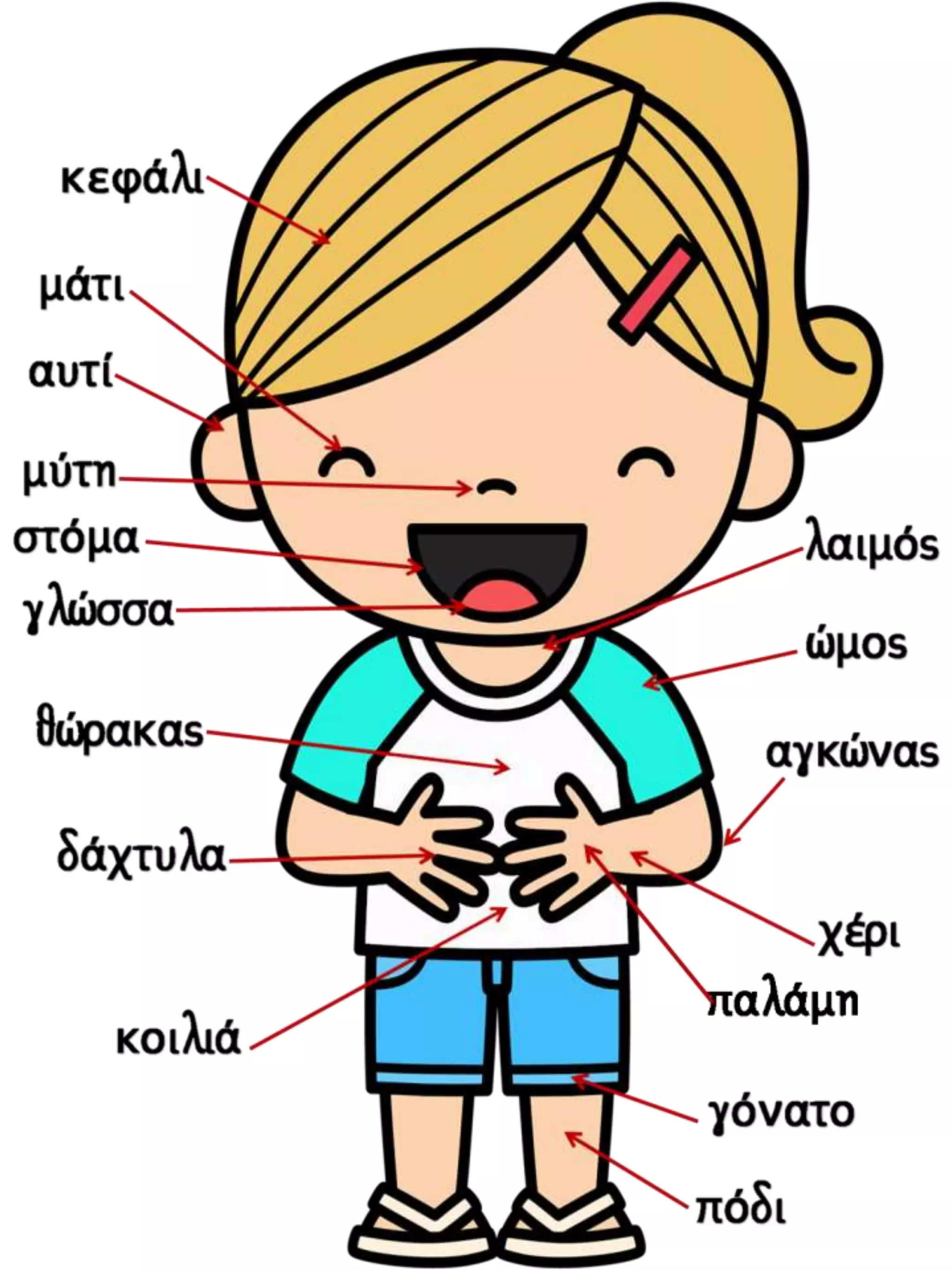 Γνωρίζω το σώμα μου | PPTX