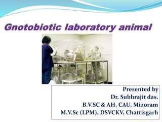 GNOTOBIOTIC ANIMALS | PDF