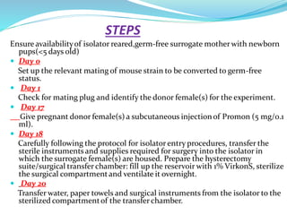 GNOTOBIOTIC ANIMALS | PDF