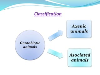 GNOTOBIOTIC ANIMALS | PDF