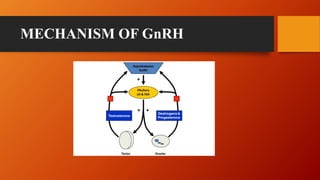 Use of GnRH | PPTX