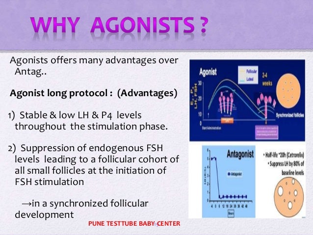GnRH Agonist vs GnRH Antagonist what to choose?