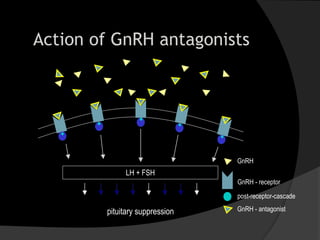 Gn rh analogues in gynaecology | PPTX