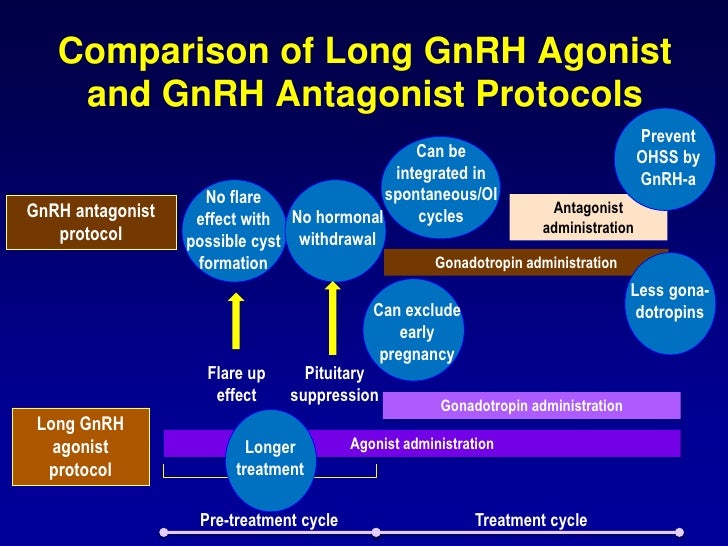 GnRH Antagonists in Controlled Ovarian Stimulation