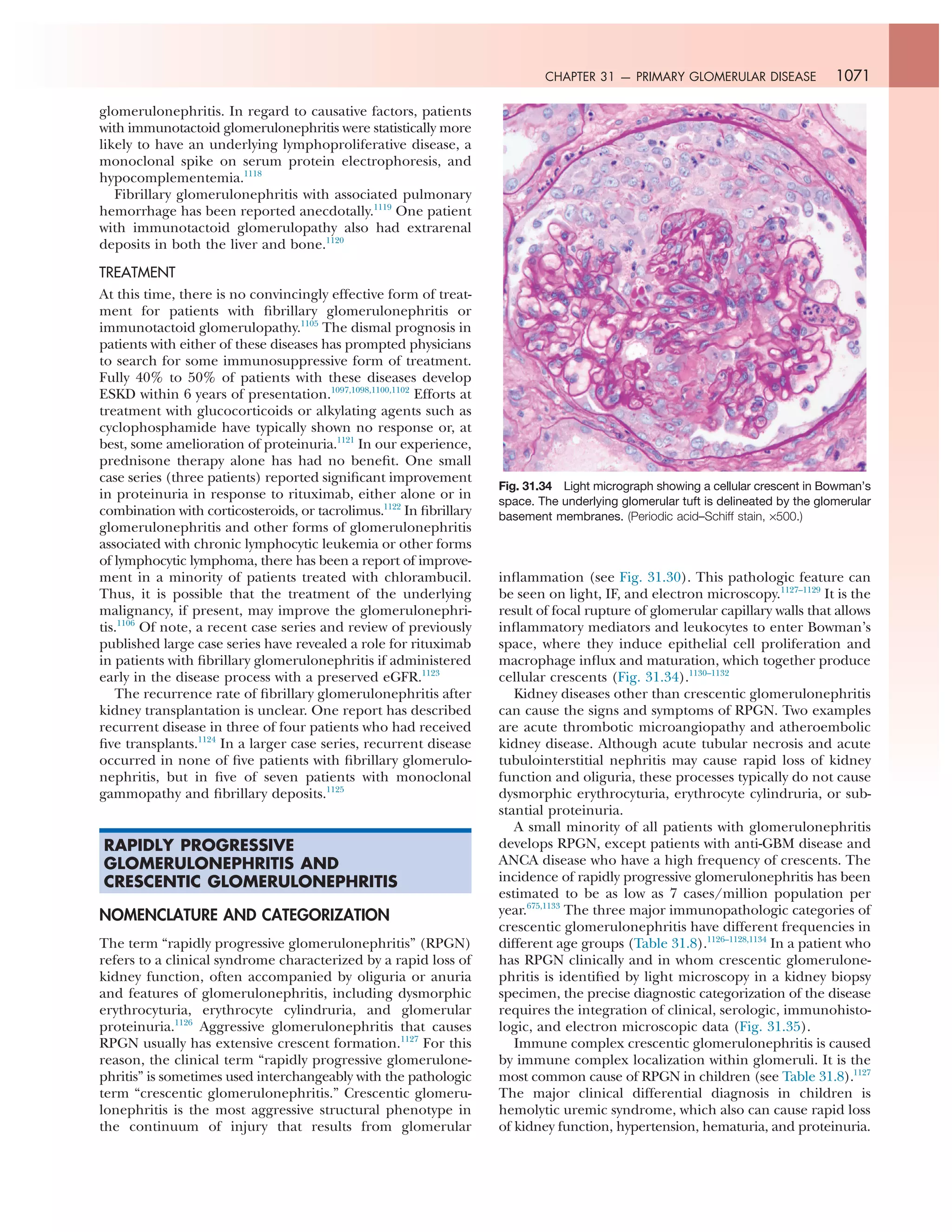 GN RP PROGRESIVA.pdf