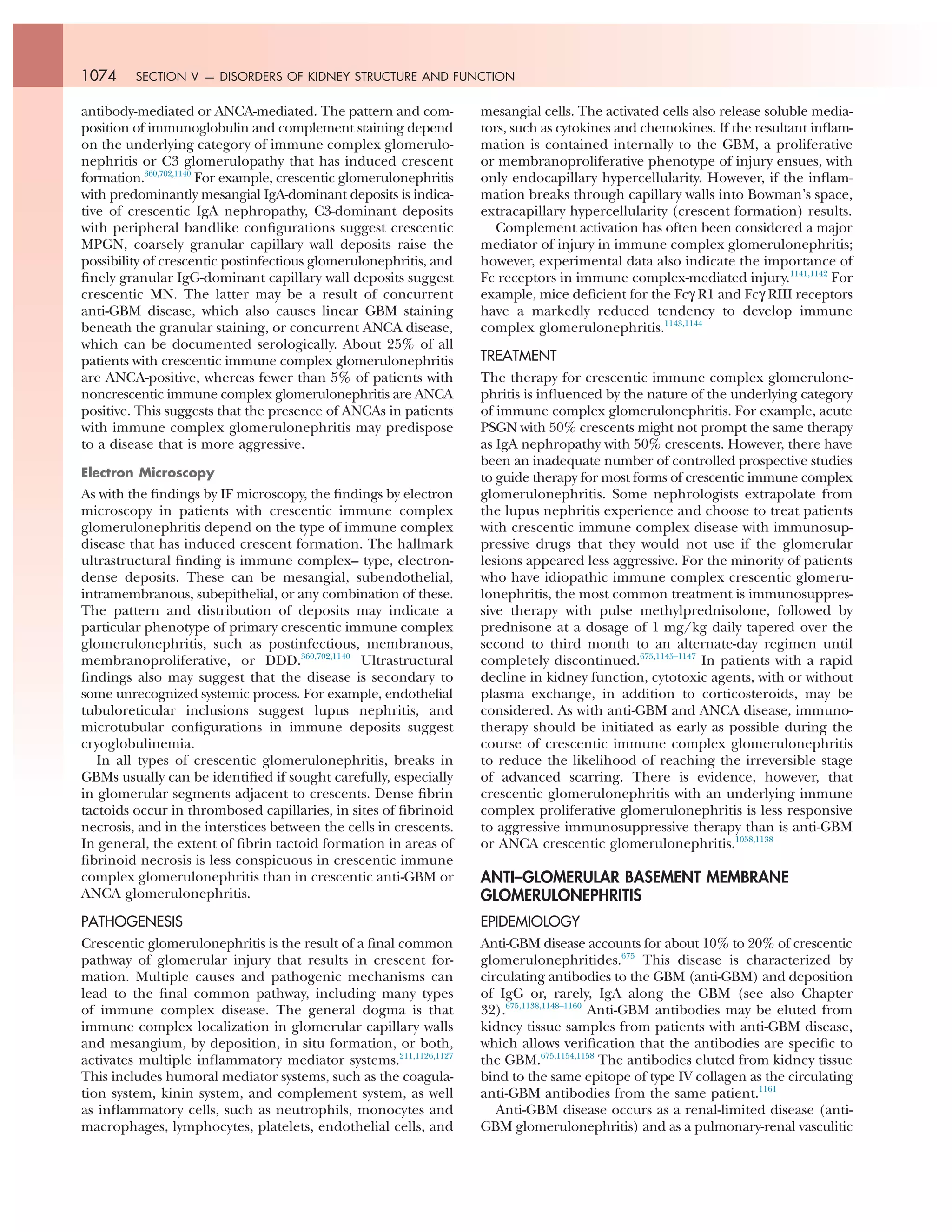 GN RP PROGRESIVA.pdf