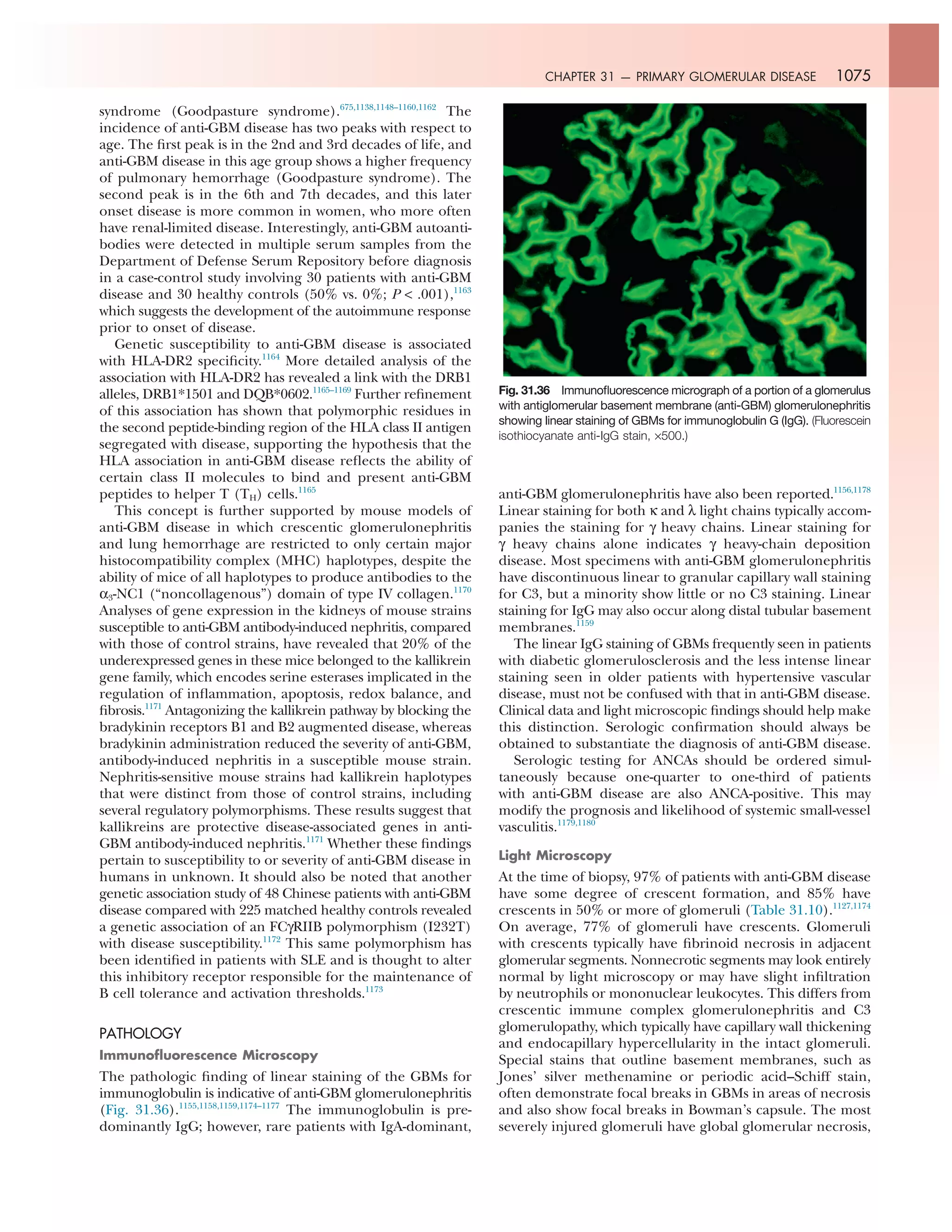 GN RP PROGRESIVA.pdf