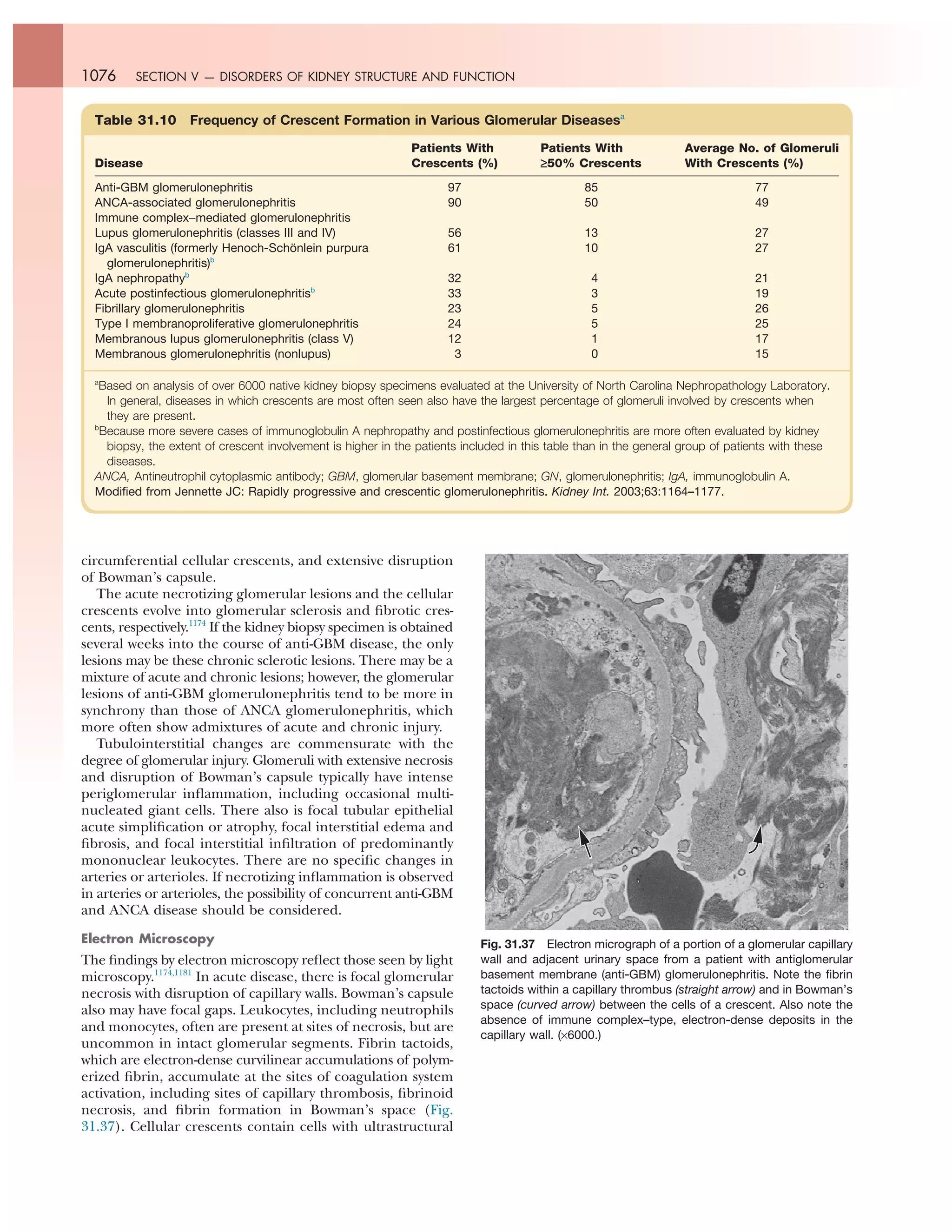 GN RP PROGRESIVA.pdf