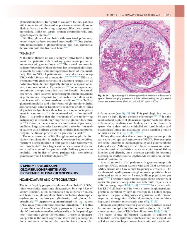 GN RP PROGRESIVA.pdf