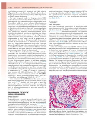 GN RP PROGRESIVA.pdf