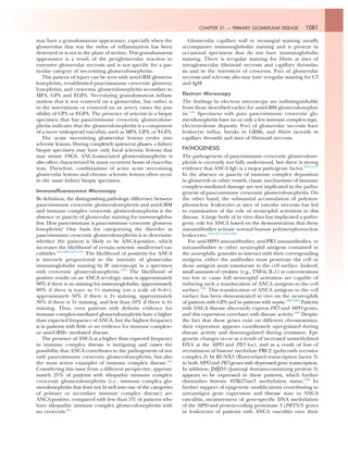 GN RP PROGRESIVA.pdf