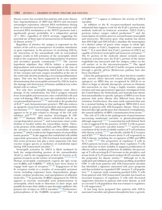 GN RP PROGRESIVA.pdf