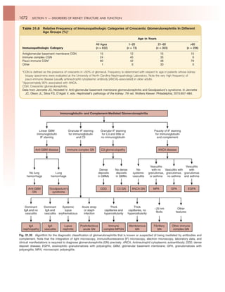 GN RP PROGRESIVA.pdf
