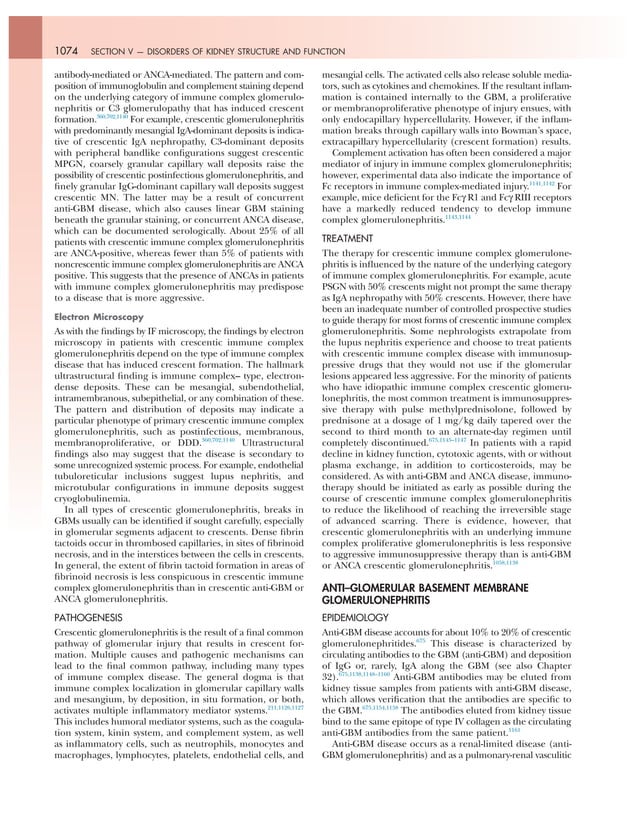 GN RP PROGRESIVA.pdf