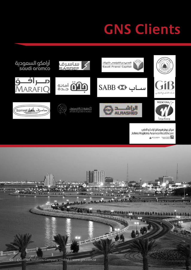 GNS company profile | PDF