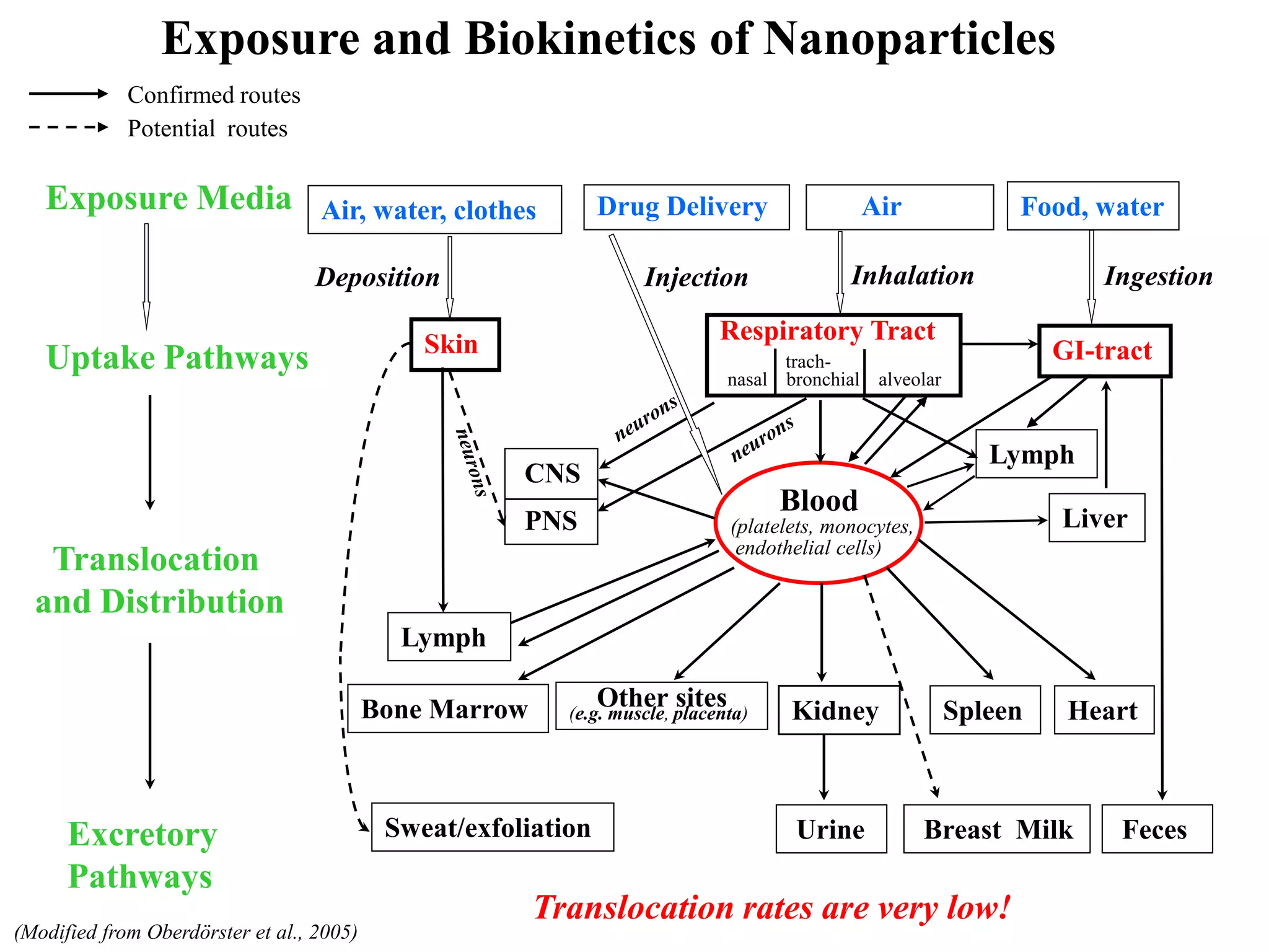 Günter Oberdorster_How to assess the risks of nanotechnology? | PDF