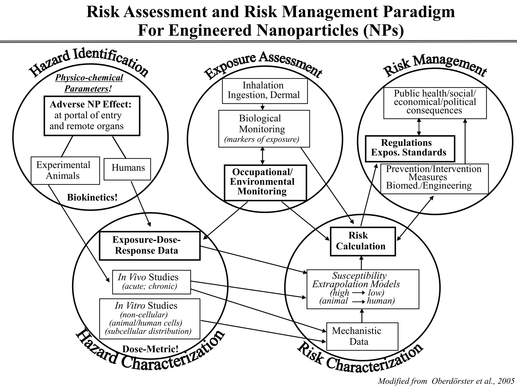 Günter Oberdorster_How to assess the risks of nanotechnology? | PDF
