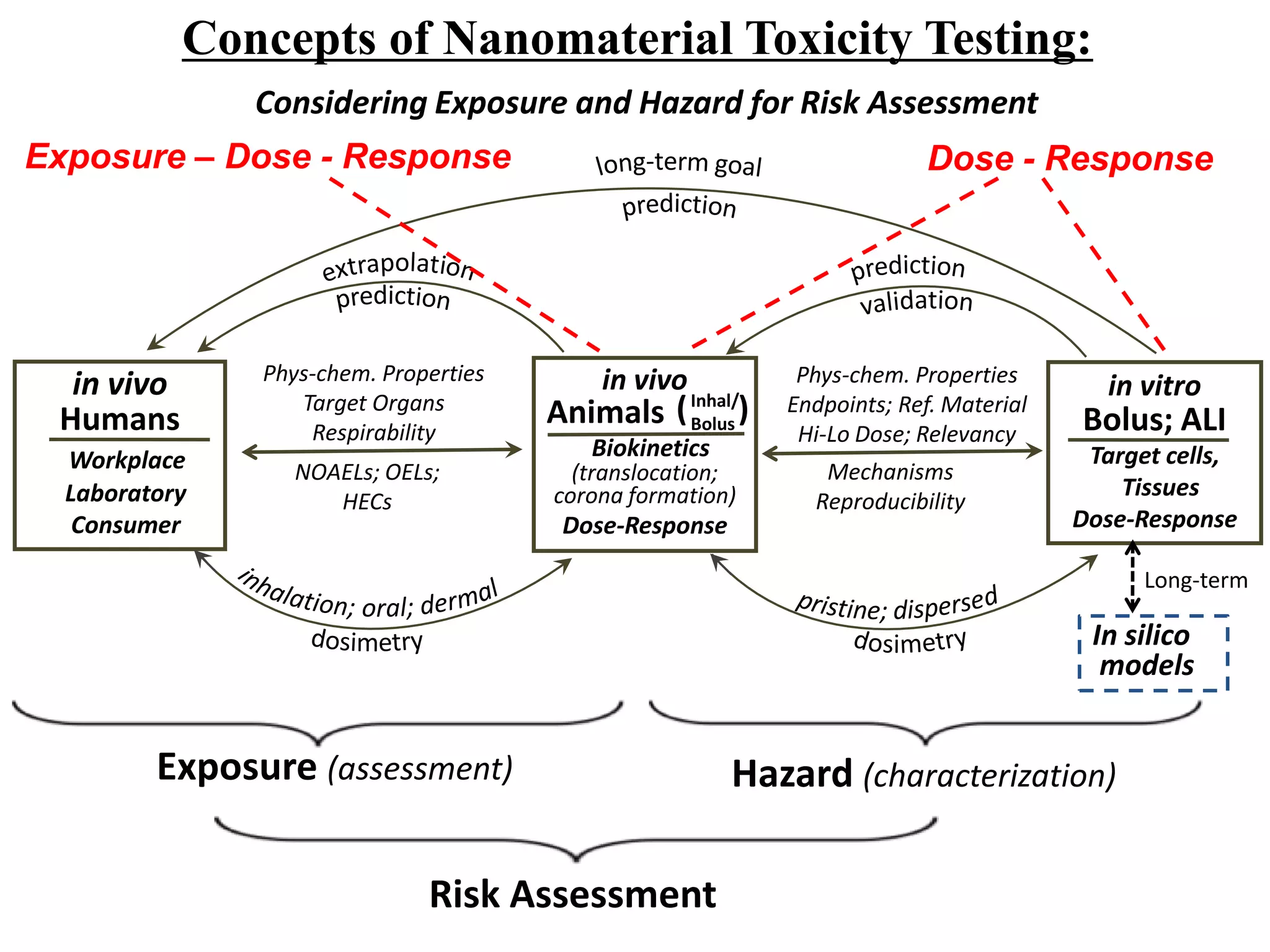 Günter Oberdorster_How to assess the risks of nanotechnology? | PDF