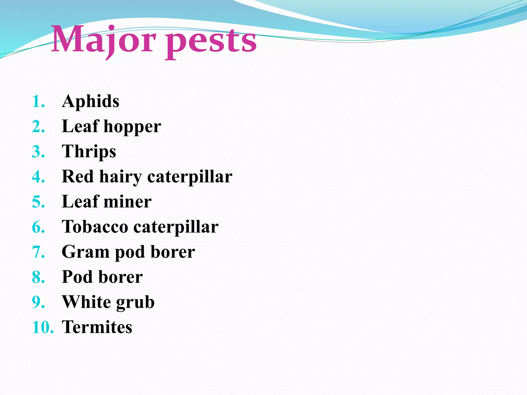 pests of groundnut | PPTX