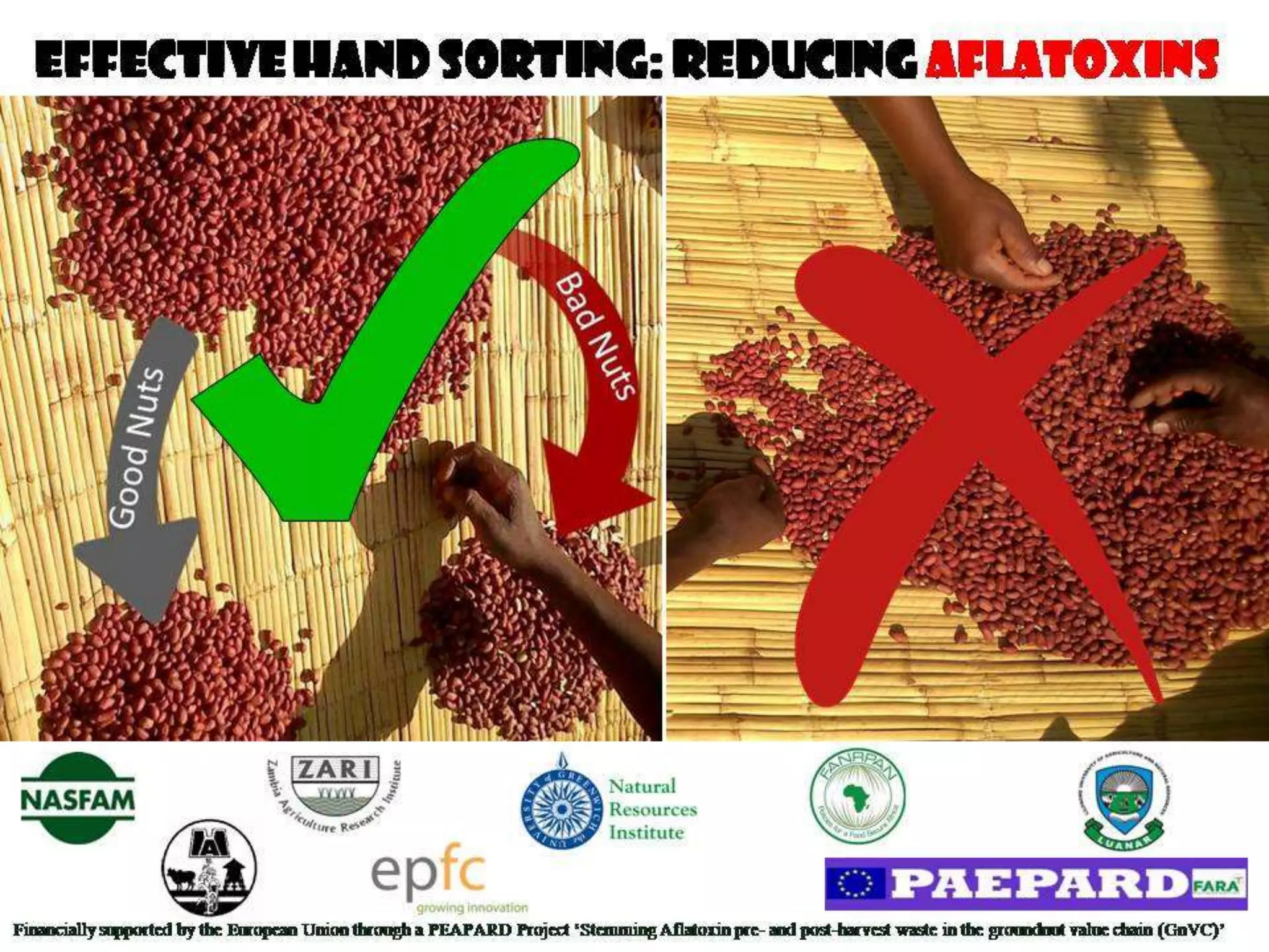 Stemming Aflatoxin pre- and post-harvest waste in the groundnut value ...