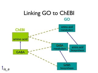Gene Ontology & ChEBI -- cross products | PPT