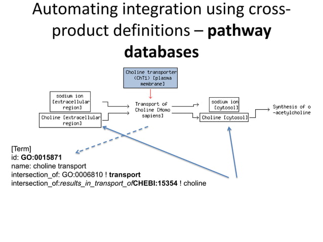 Go pathway-interaction-integration | PPTX | Databases | Computer Software and Applications