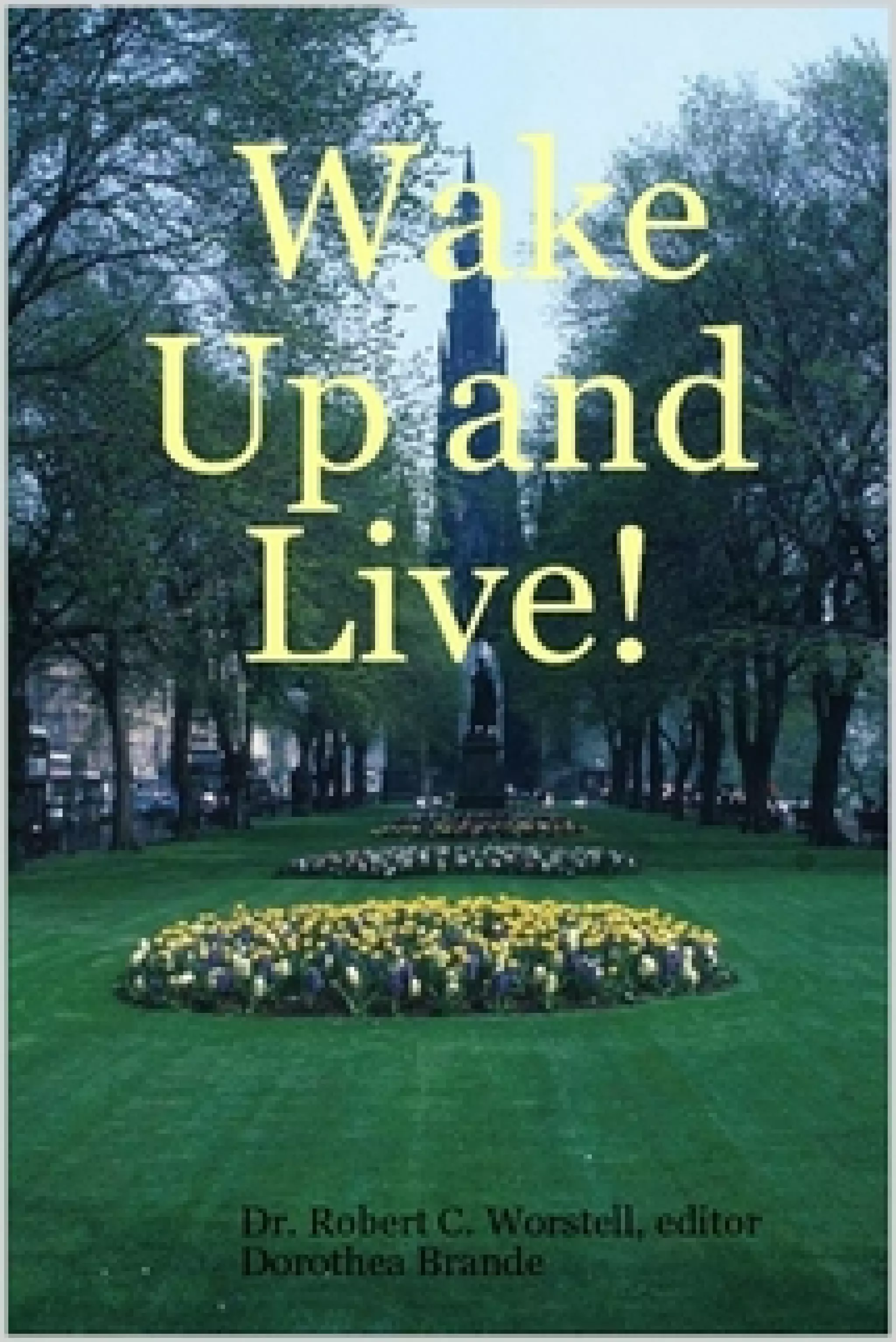 Go Thunk Yourself Self Help Library Book Covers | PPT