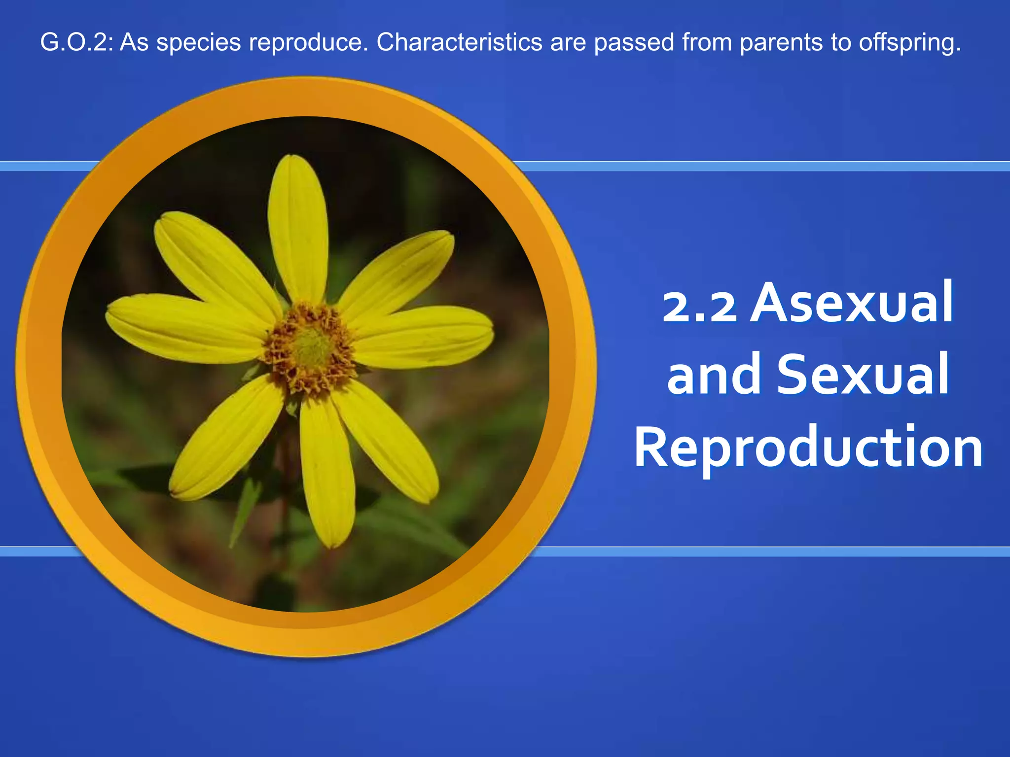 GO 2_2 Asexual and Sexual Reproduction.ppt | Infertility | Reproductive ...