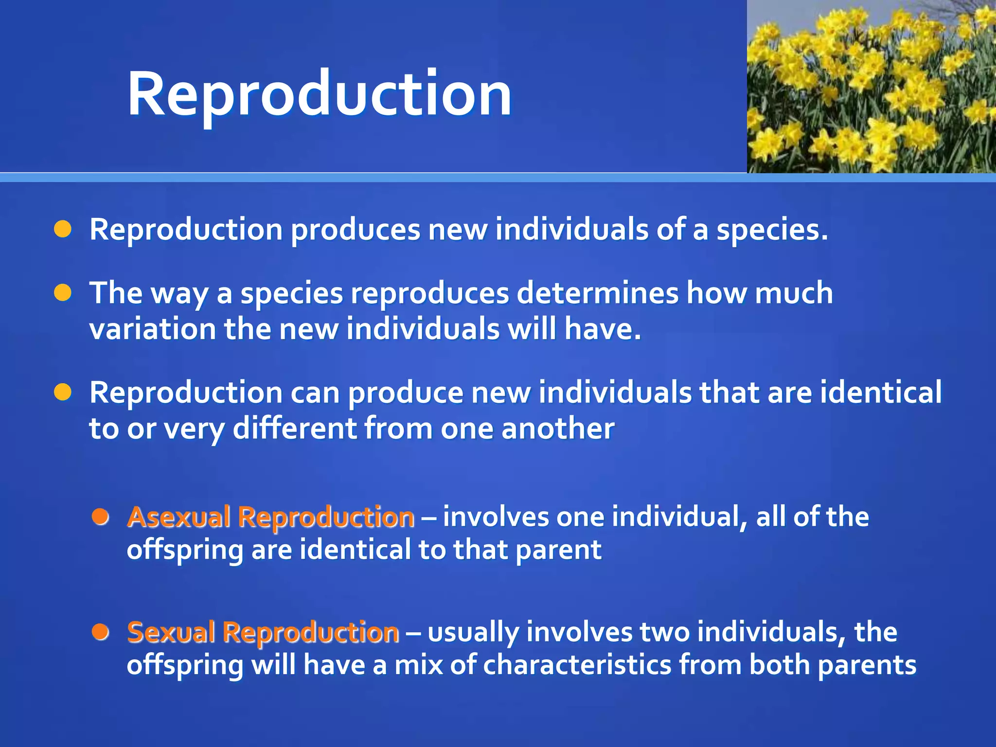 GO 2_2 Asexual and Sexual Reproduction.ppt | Infertility | Reproductive ...