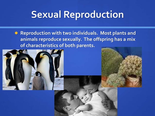 GO 2_2 Asexual and Sexual Reproduction.ppt | Infertility | Reproductive ...