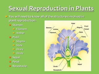GO 2_2 Asexual and Sexual Reproduction.ppt