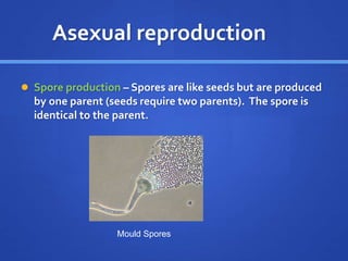 GO 2_2 Asexual and Sexual Reproduction.ppt
